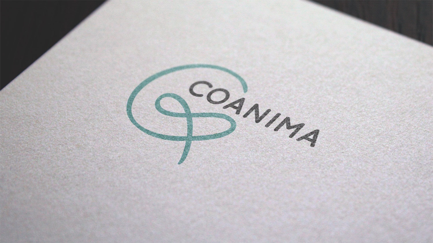 Logo & identité visuelle - Coanima